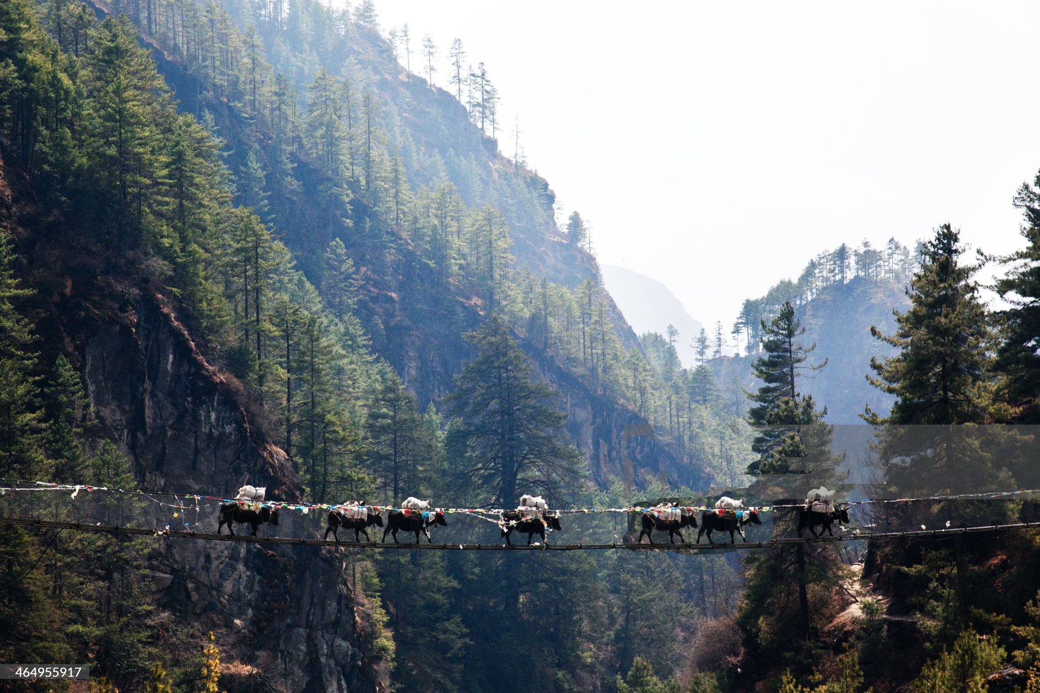 7-pack-animals-on-rope-bridge – English: the first 4,000 years